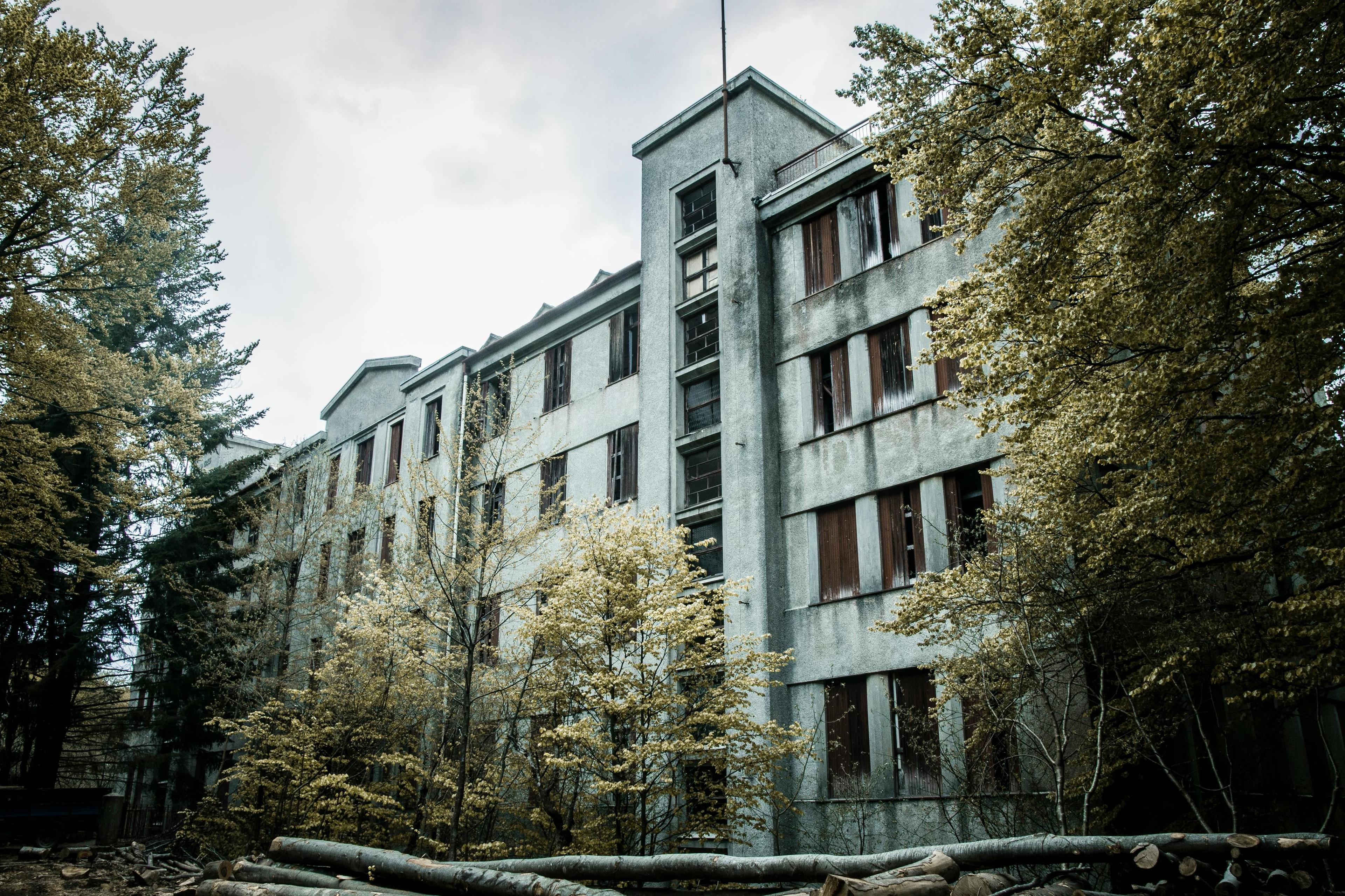 The Return of Insane Asylums?
